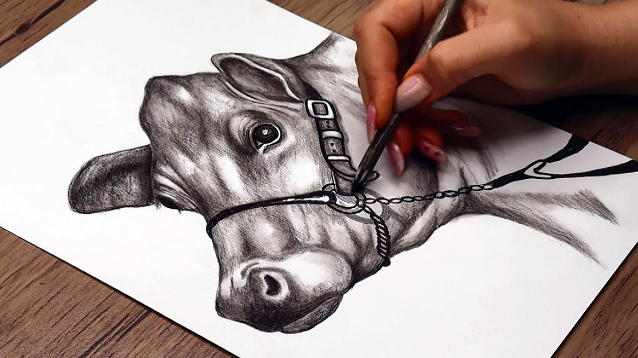 How I Made This Realistic Cow Portrait From Scratch - YouTube