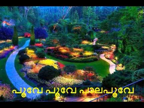 poove poove palapoove - YouTube