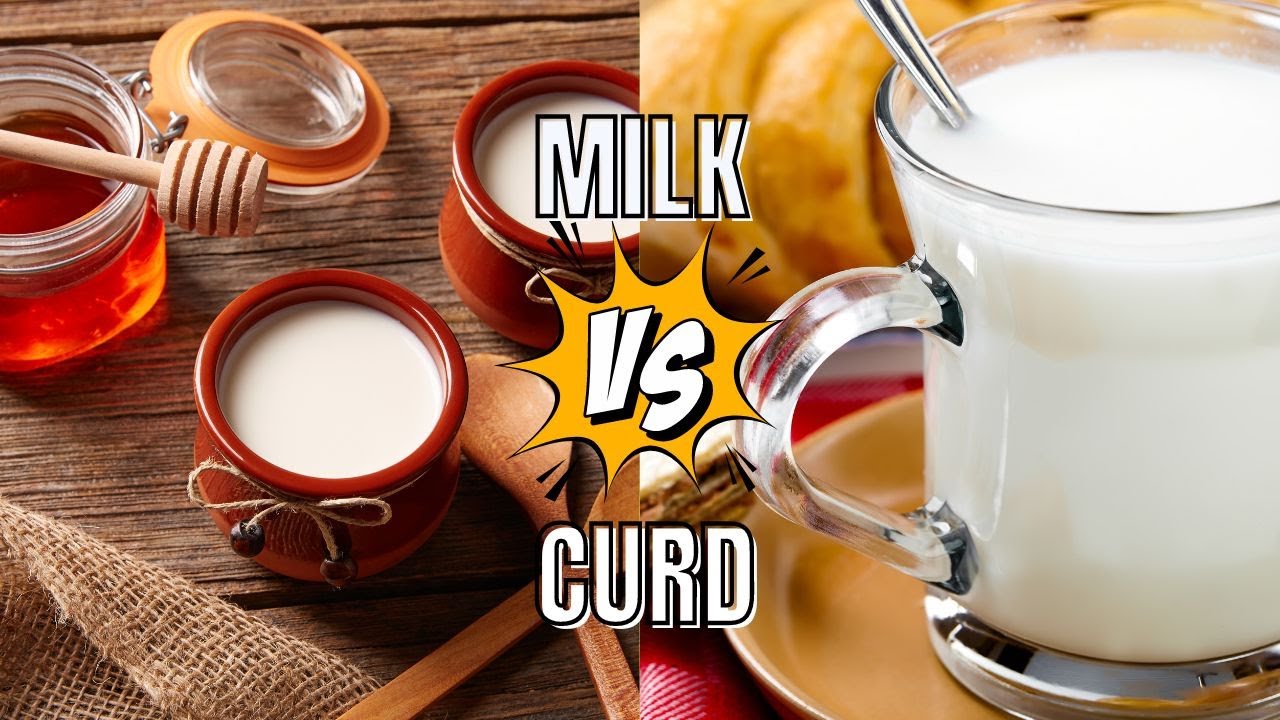 Which Is Healthier Milk Or Curd YouTube Which Is Healthier Milk Or Curd YouTube