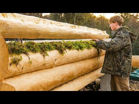 Building My Dream Log Cabin - One Man Solo With Hand Tools Only in an ...