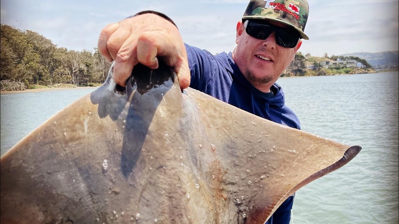 Bat Ray Fishing In Morro Bay Ca. June 2023 #getlost - YouTube