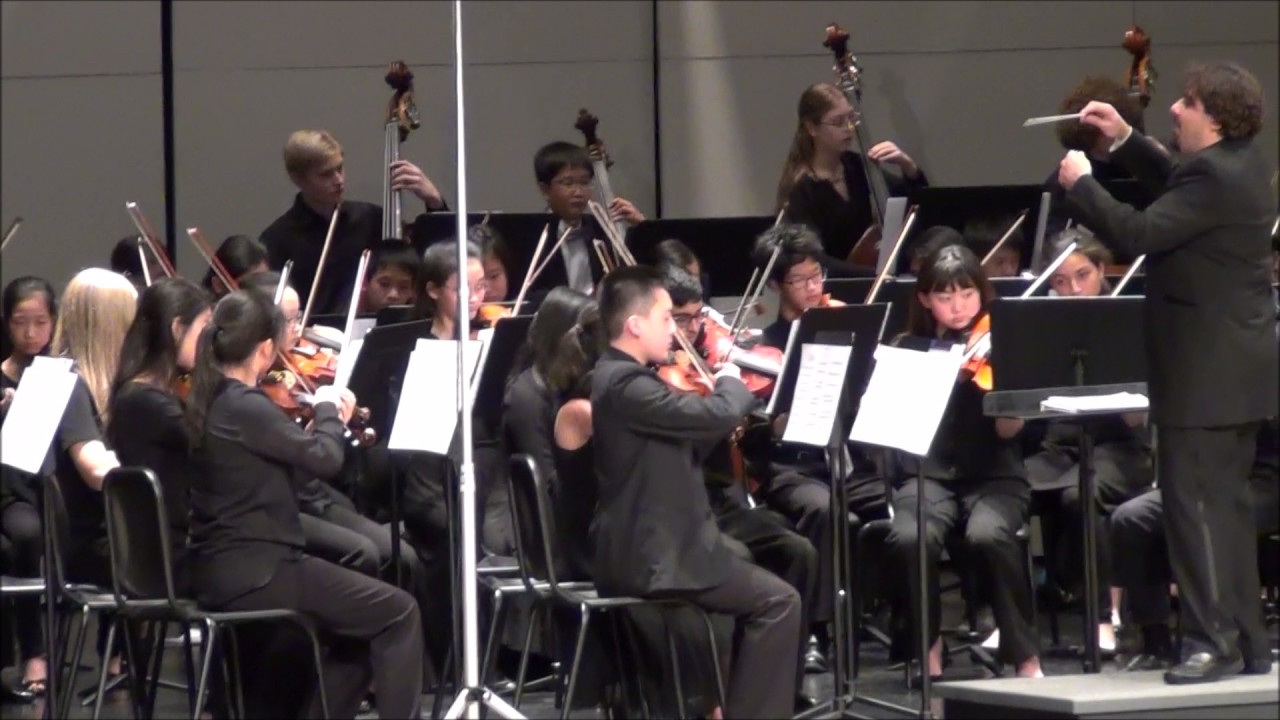 Grace Liao 廖姮懿, Viola, All Region Chamber Orchestra, 2016 - YouTube