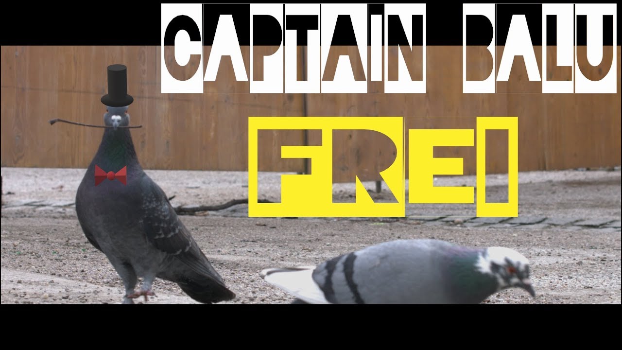 🕊 Frei wie der Wind - Captain Balu (CB) 🕊 - YouTube