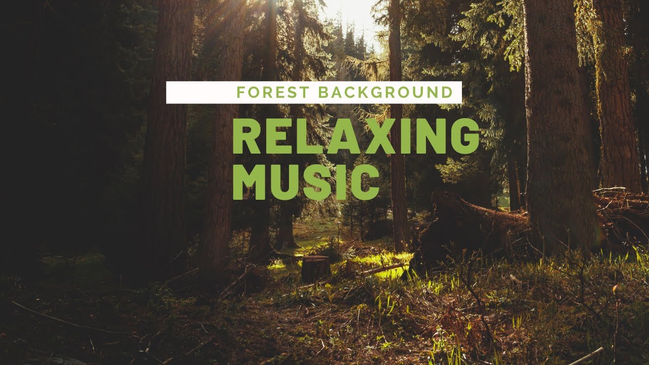 Relaxing Music | Forest Background | Classical Calm Music # ...