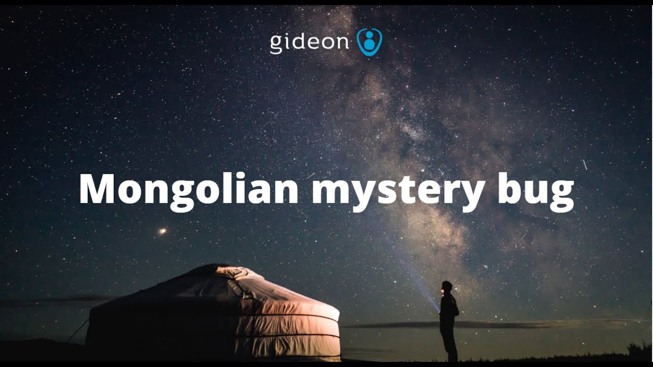 Mongolian mystery bug - YouTube