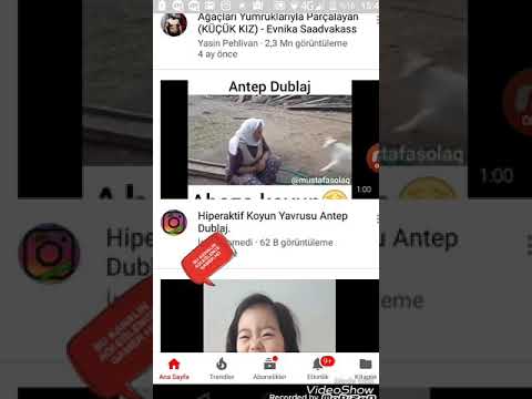 Pezeveng koyun yavrusu antep dublaj