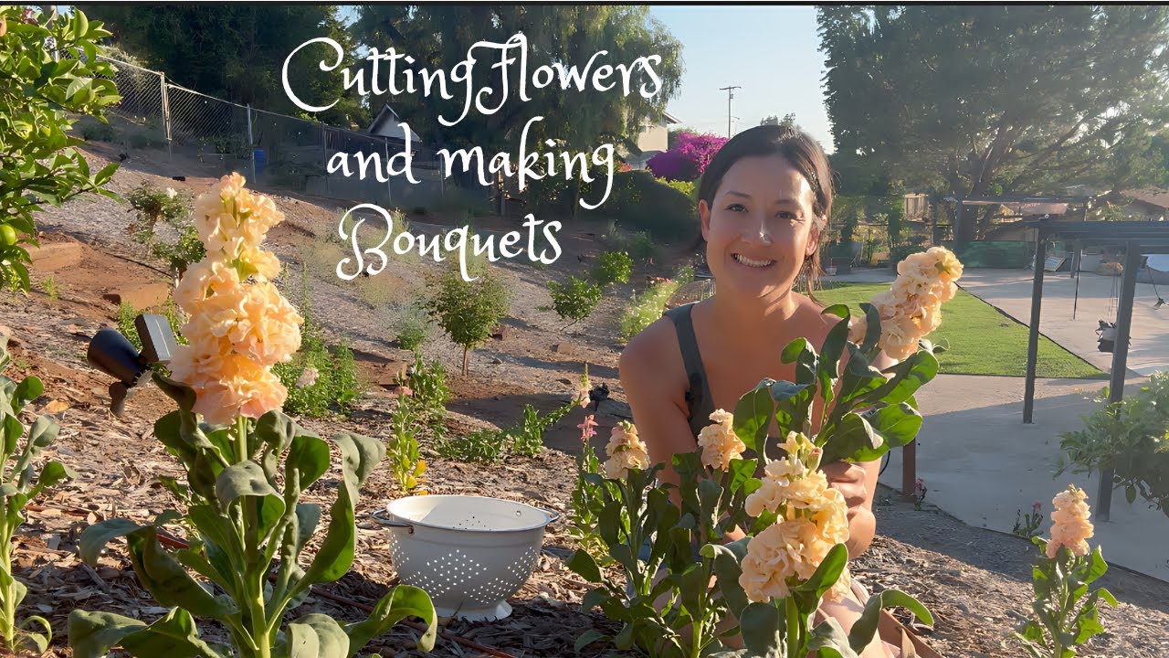 EASY to grow cut flowers using the SOIL BLOCKING method and making ...