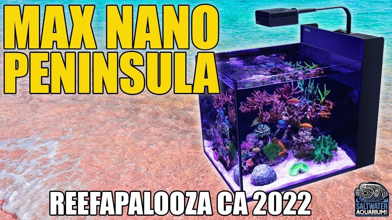 Red Sea MAX NANO Peninsula Tank - Reef-A-Palooza CA - YouTube