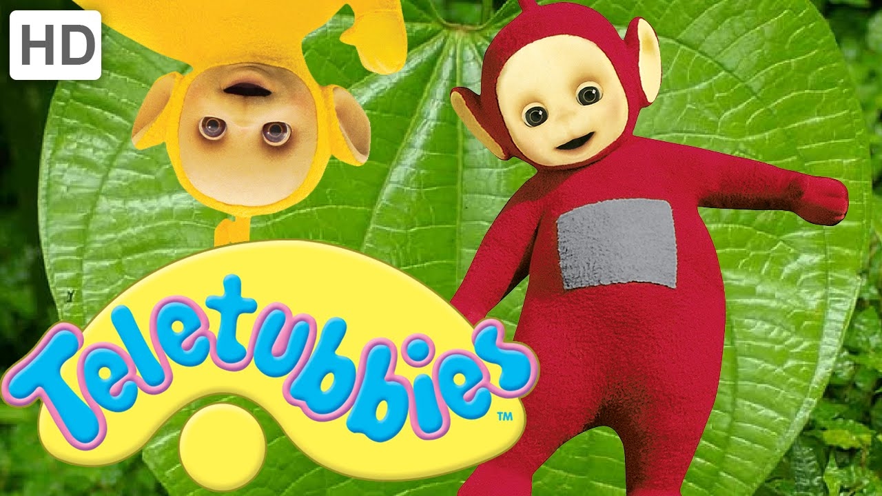 Teletubbies: Bugs Pack - Full Episode Compilation - YouTube
