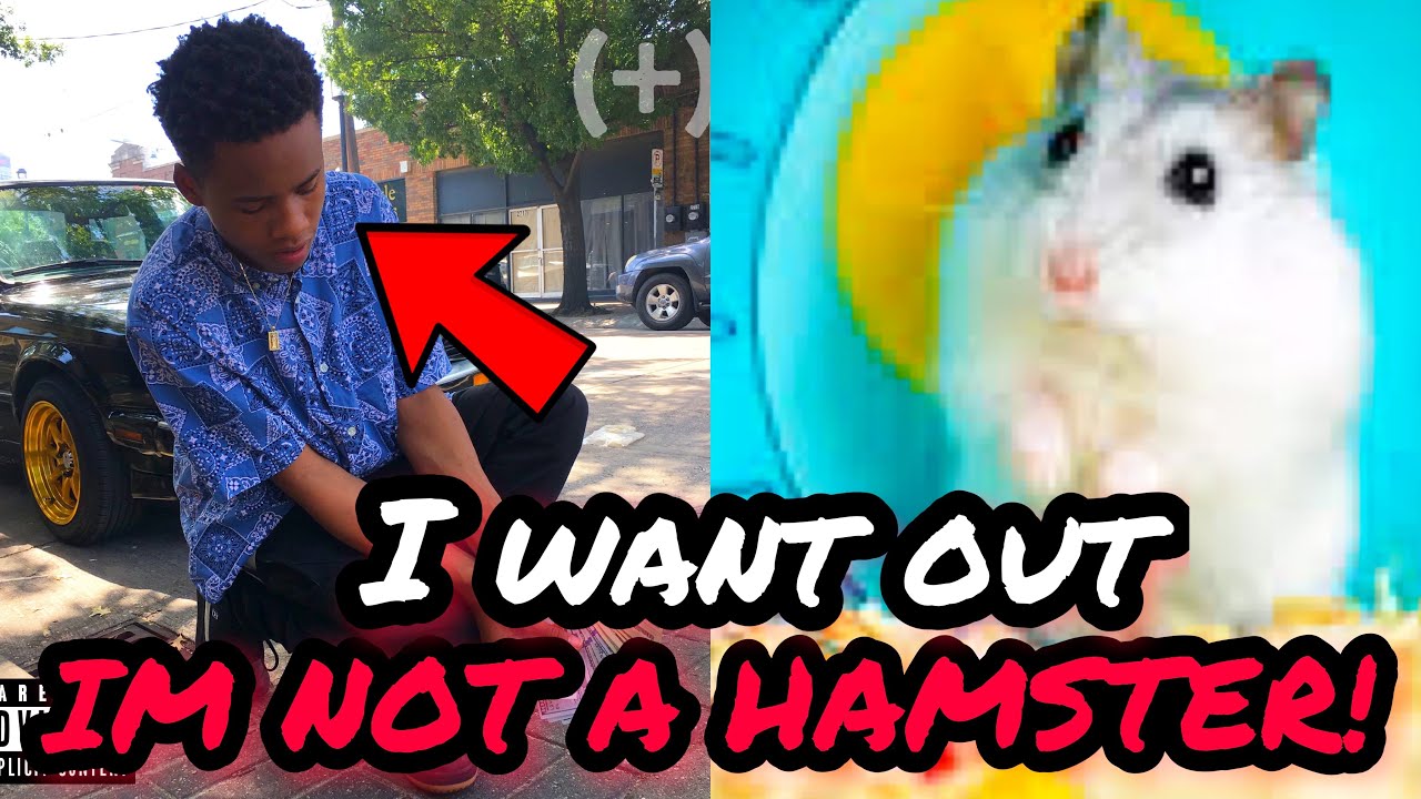TAY-K SAYS HE’s BEING TREATED LIKE A HAMSTER AND FERRET IN JAIL! - YouTube