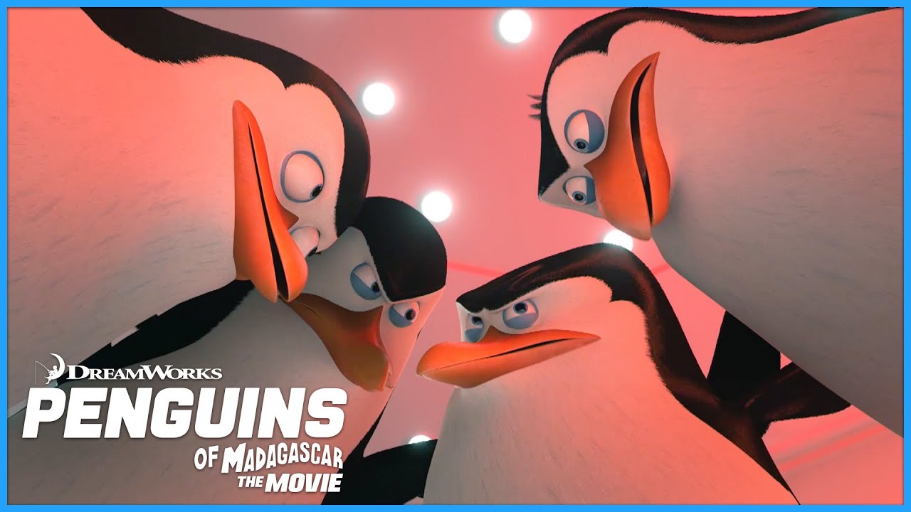The Penguins' Plan | DreamWorks Madagascar - YouTube