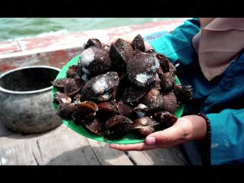 TANJUNG BALAI KOTA KERANG, ASAHAN, SUMATERA UTARA - YouTube