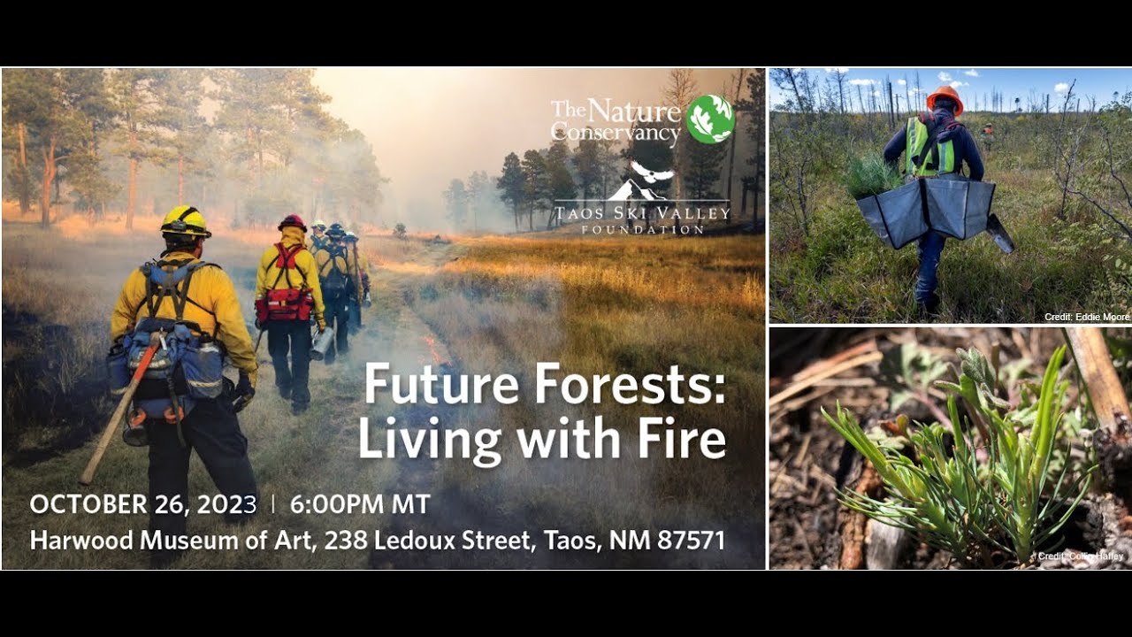 Future Forests: Living with Fire - YouTube