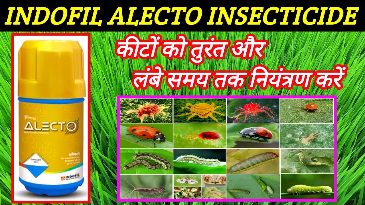 Alecto Insecticide| broflanilide-20%SP|Indofil Alecto insecticide price ...