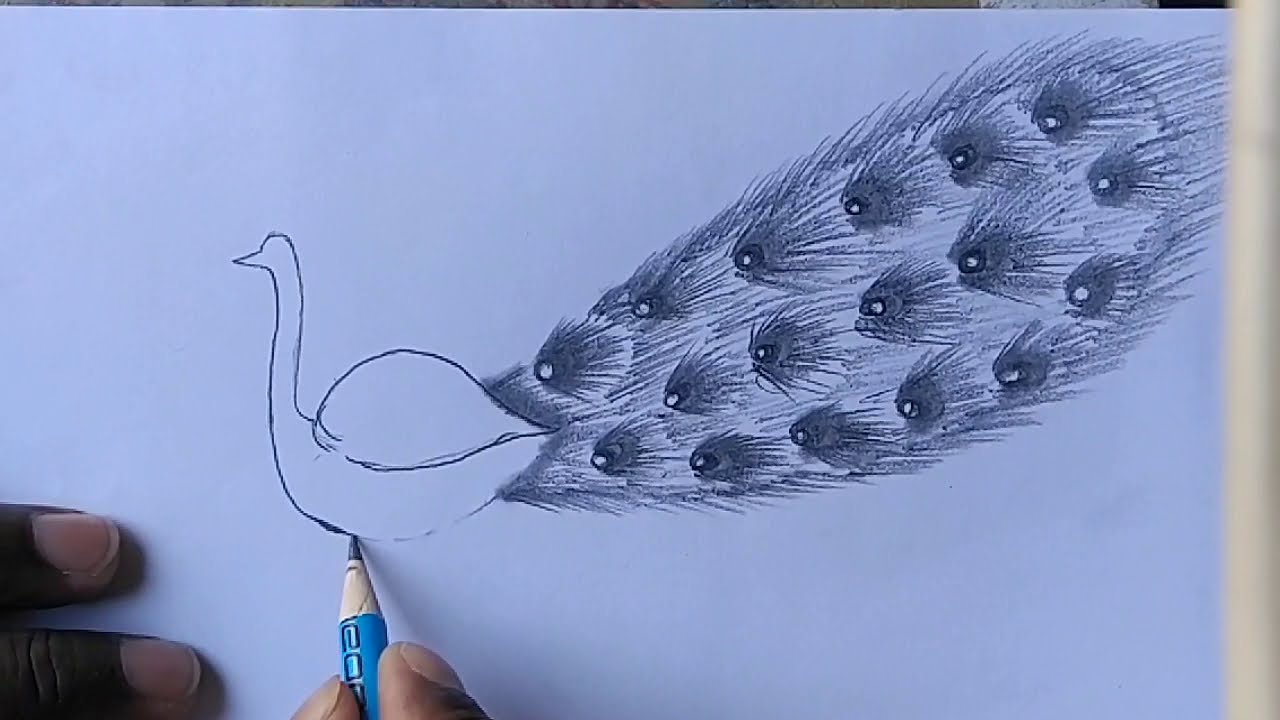 How to drawing picoke, pencil sketch drawing tutorial. #KRISHNA #ART ...