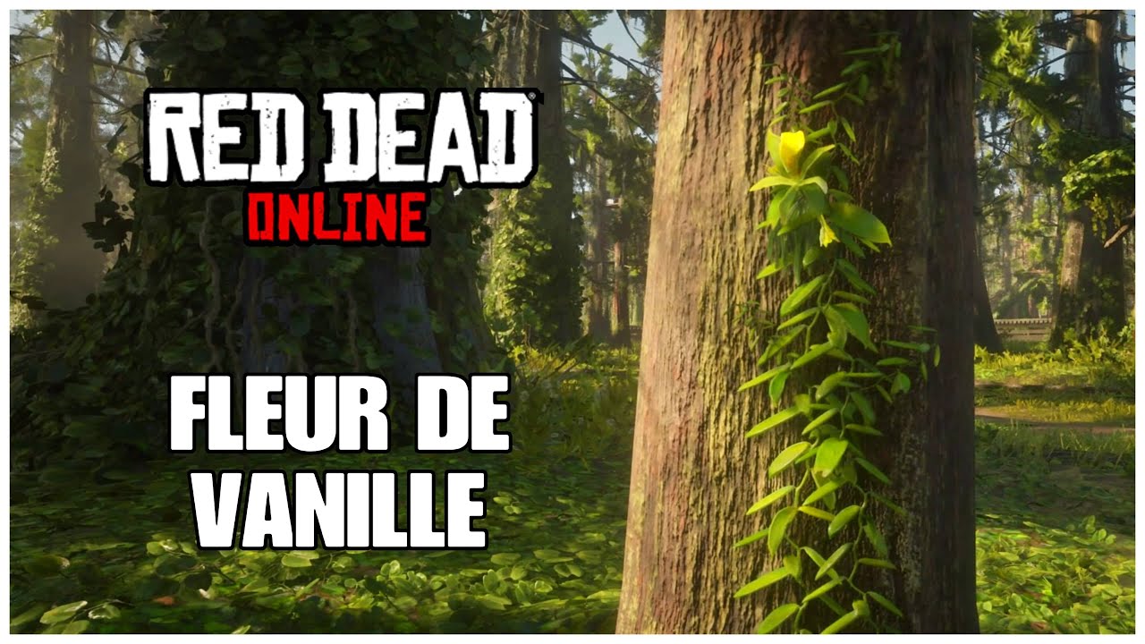 Emplacement Fleur de Vanille Red dead online - YouTube