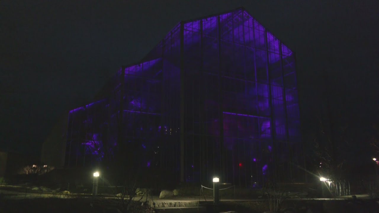 Rockford's Nicholas Conservatory lights up purple for 'Donate Life ...