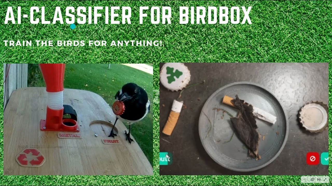 AI Classifier for BirdBox, train for any kind of litter. - YouTube