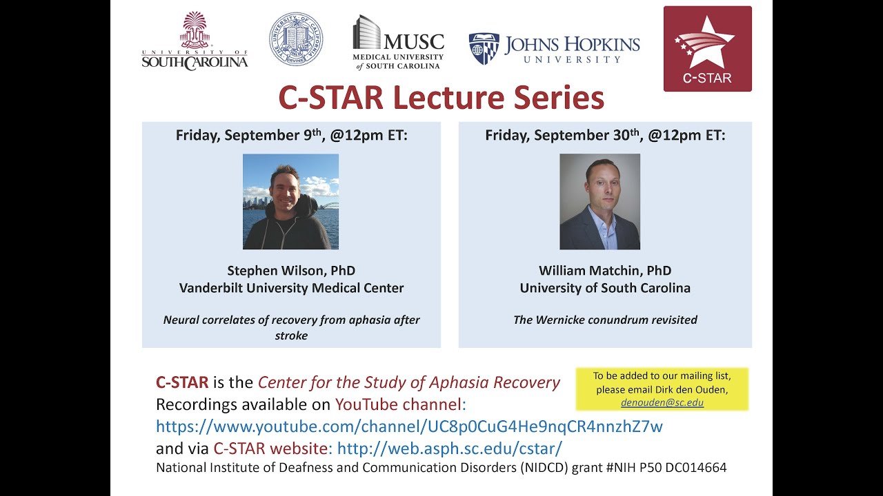 Neural Correlates of Recovery from Aphasia After Stroke - Stephen ...