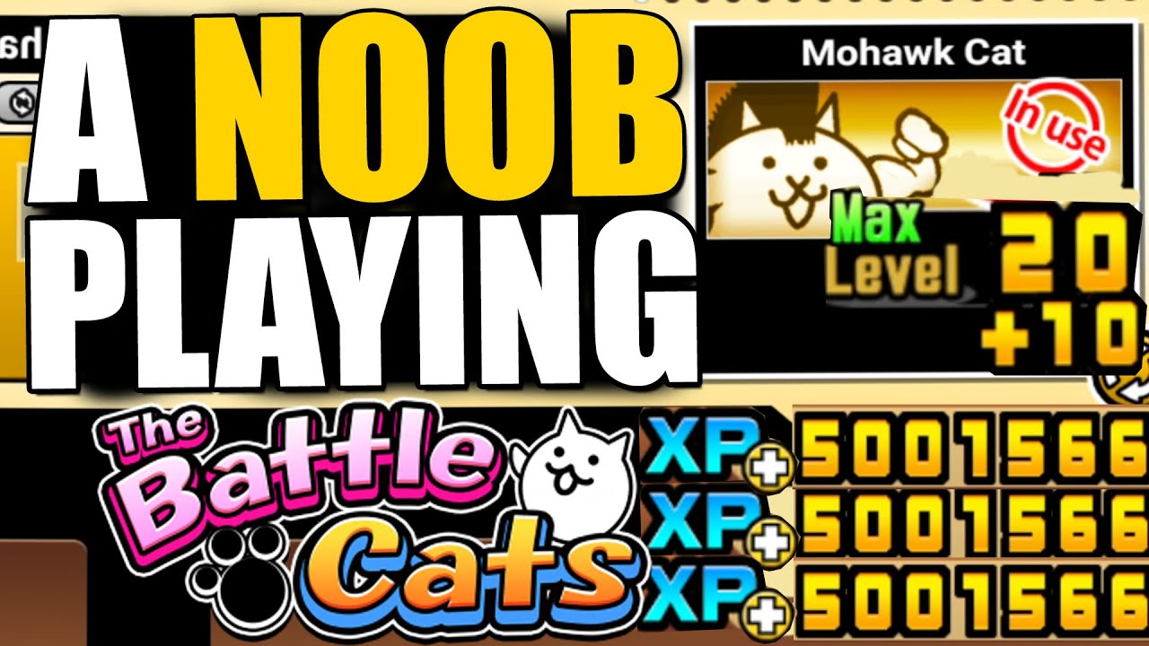 NOOB TO PRO #64 - MACHO CAT IN TRUE FORM IS UNBELIEVABLE - The Battle ...