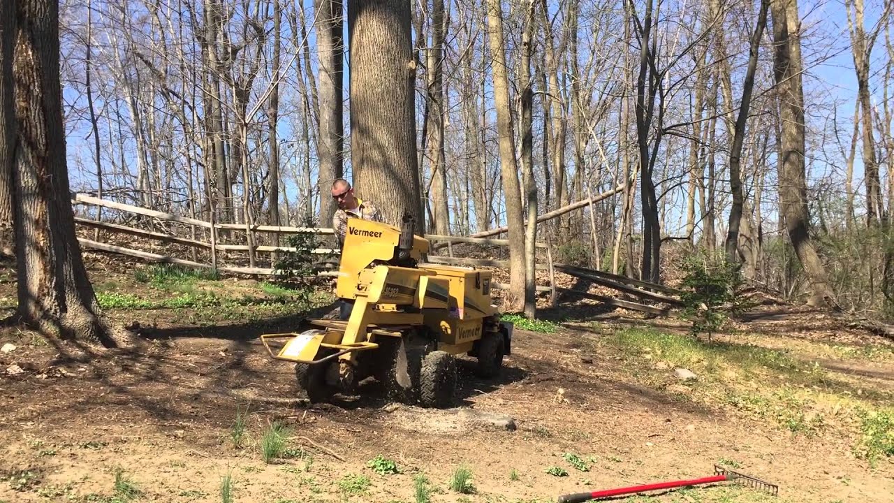 Stump Busters, http://www.stumpbusting.com, Philadelphia, Montgomery ...