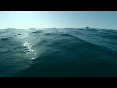 3Ds Max Ocean - YouTube