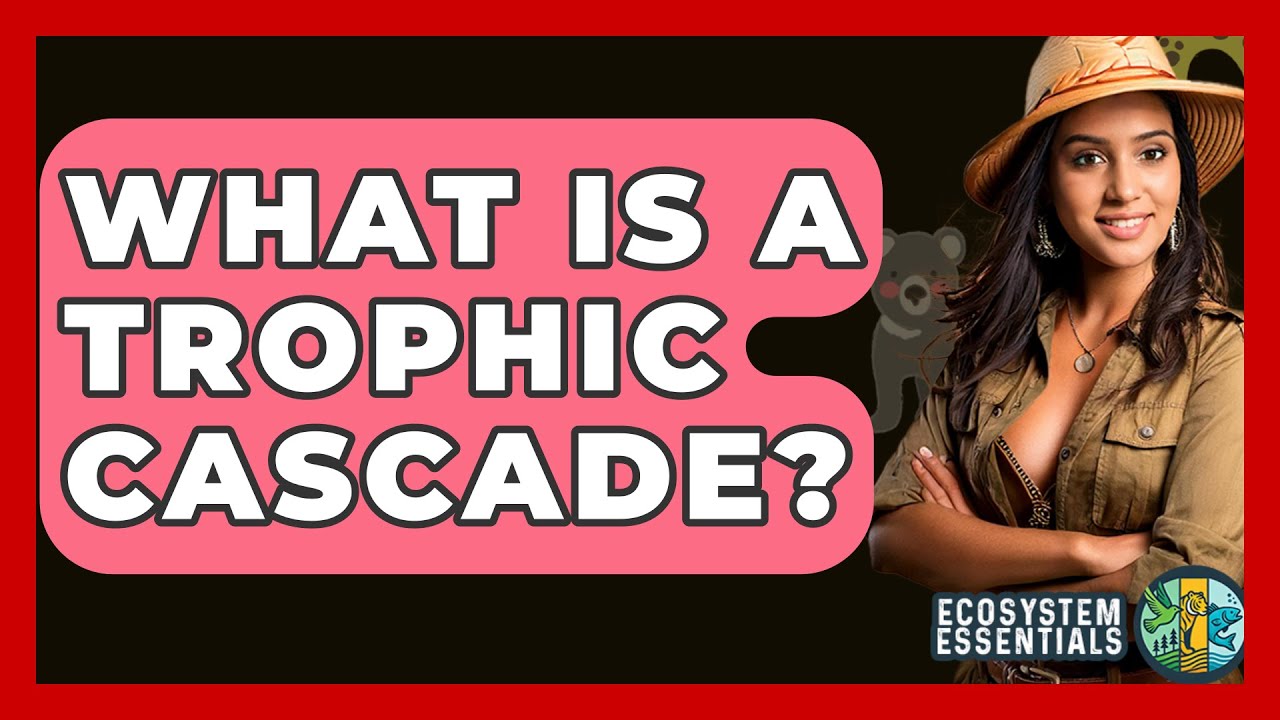 What Is a Trophic Cascade? - Ecosystem Essentials - YouTube