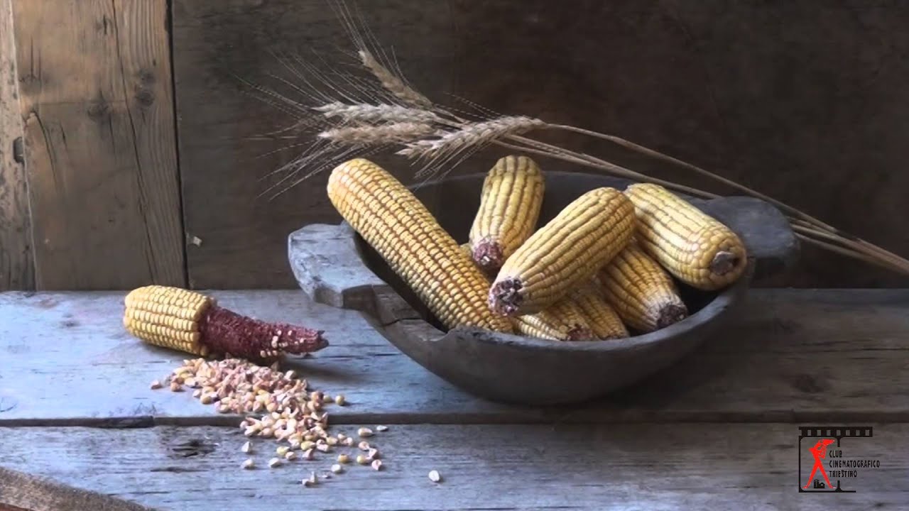 STILL LIFE di Fabio Rigo - YouTube