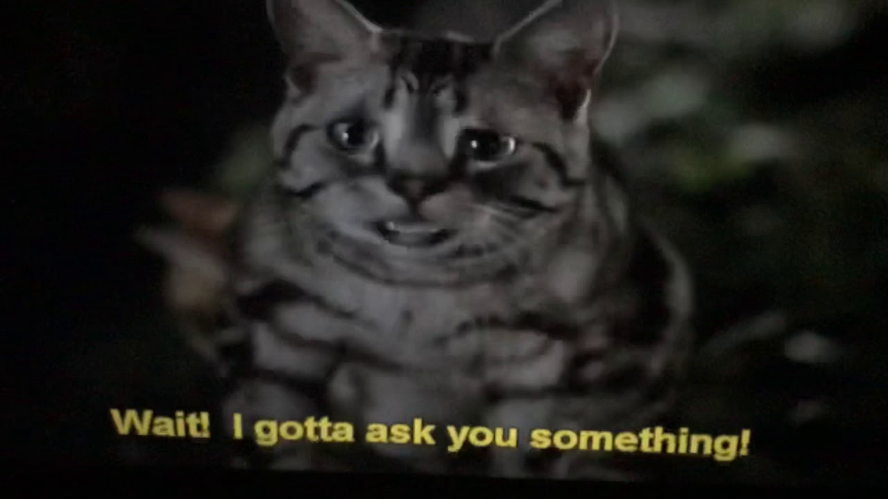 Stuart Little: Water Scene - YouTube