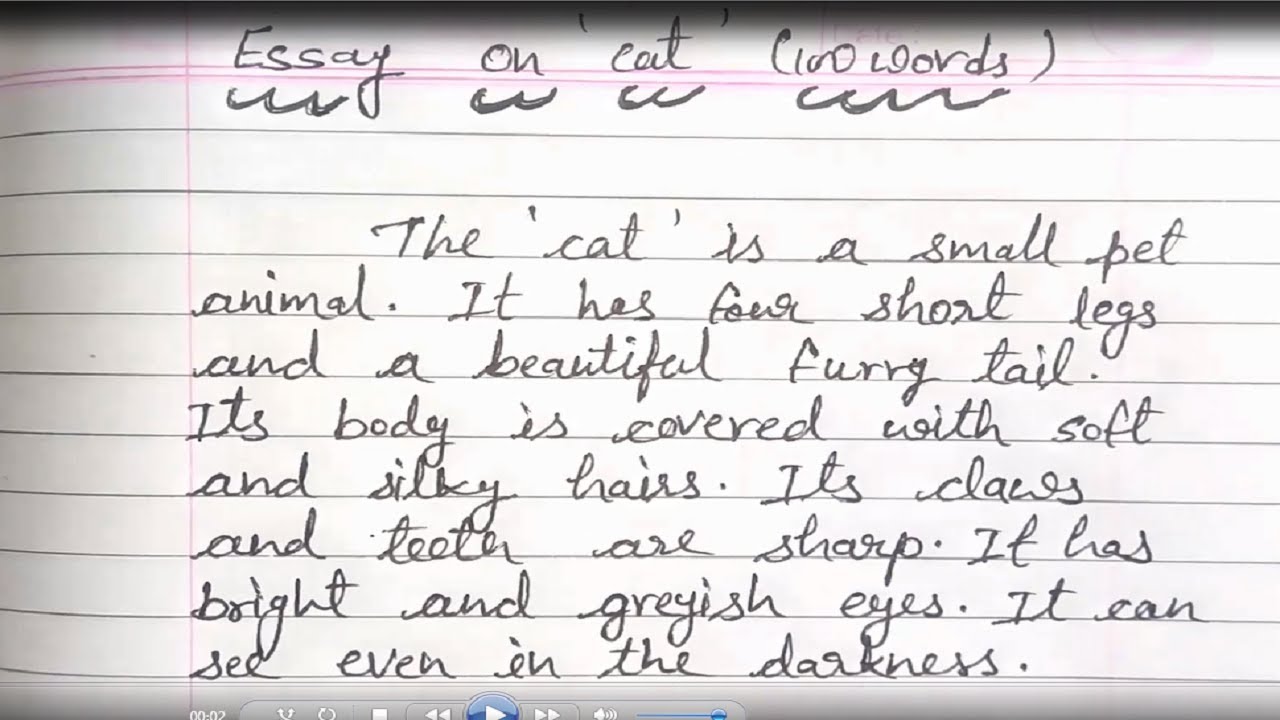Essay On Cat In English In Cursive Handwriting By Smart Study Essay On Cat In English In Cursive Handwriting By Smart Study