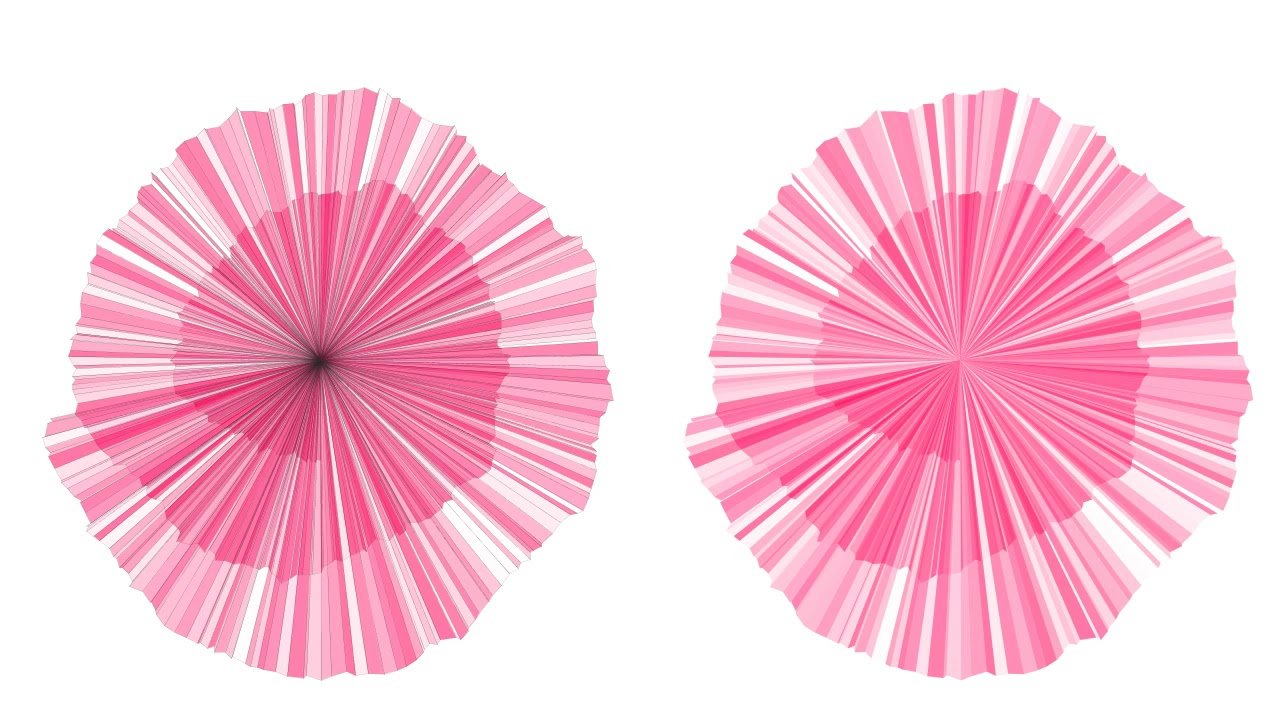 Algorithmic Twin Flower created in Processing - YouTube