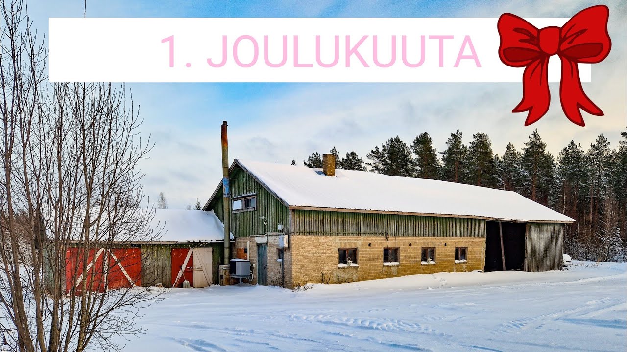 Kaikilla ei ole joulukalenteria, mutta joulukuu on ️🌲 | Joulukuun arkea ...