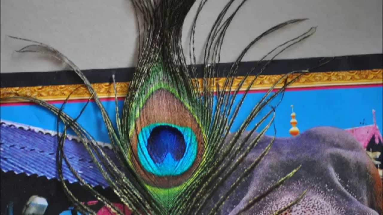 swasthi suktham സ്വസ്തി സൂക്തം കേരള സമ്പ്രദായം - YouTube