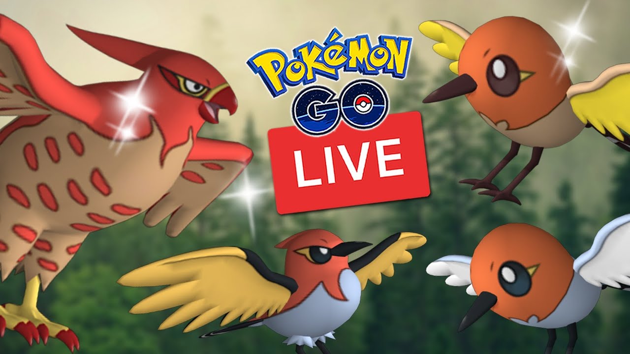 Fletchling Community Day Shiny Hunt Live Aussie Pokemon Go - YouTube