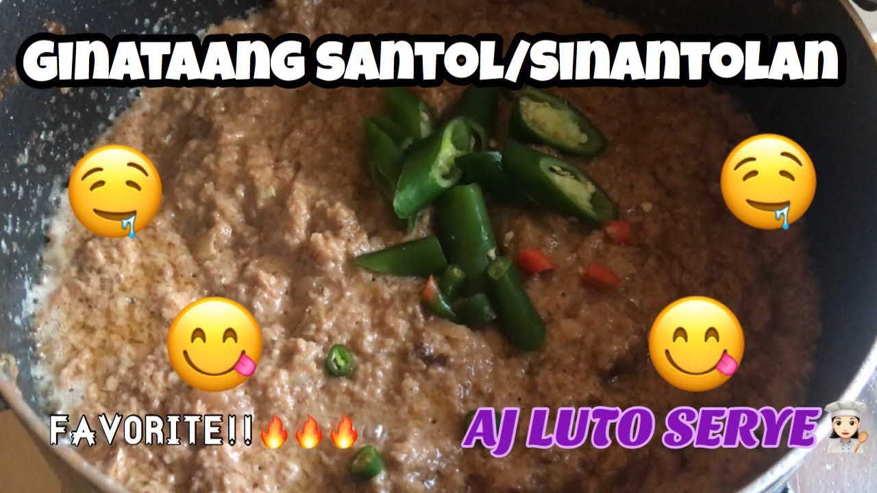HOW TO COOK GINATAANG SANTOL/SINANTOLAN | AJ LUTO SERYE 👩🏻‍🍳 - YouTube ...