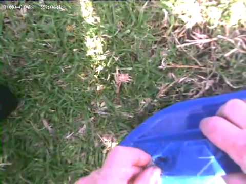 RC forward swept Wing trials - YouTube