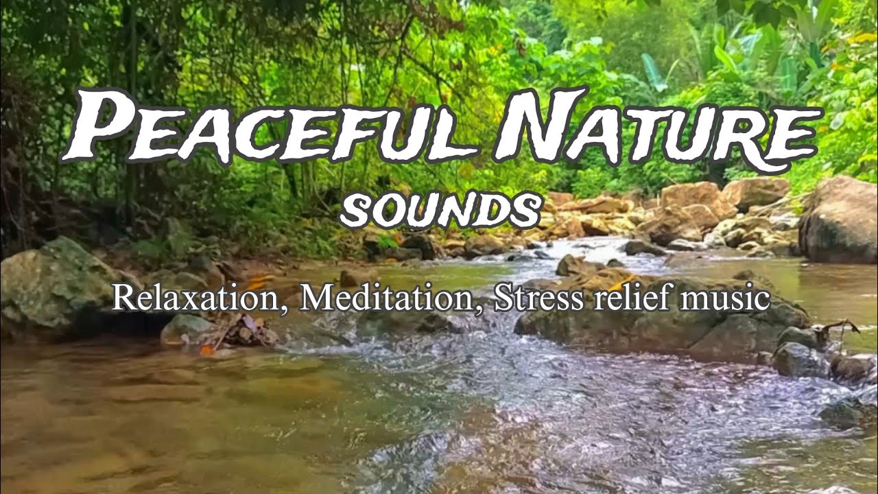 Relaxing Nature Sounds - Peaceful Forest River - 10 Hours Long -HD ...