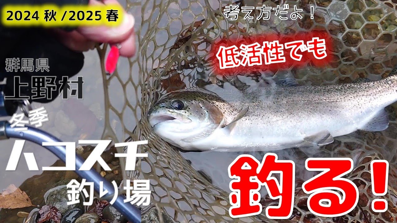 【群馬 上野村冬季ハコスチ釣り場】低活性の釣り方/Hard fishing! I'll teach you how to fish #上野村 ...