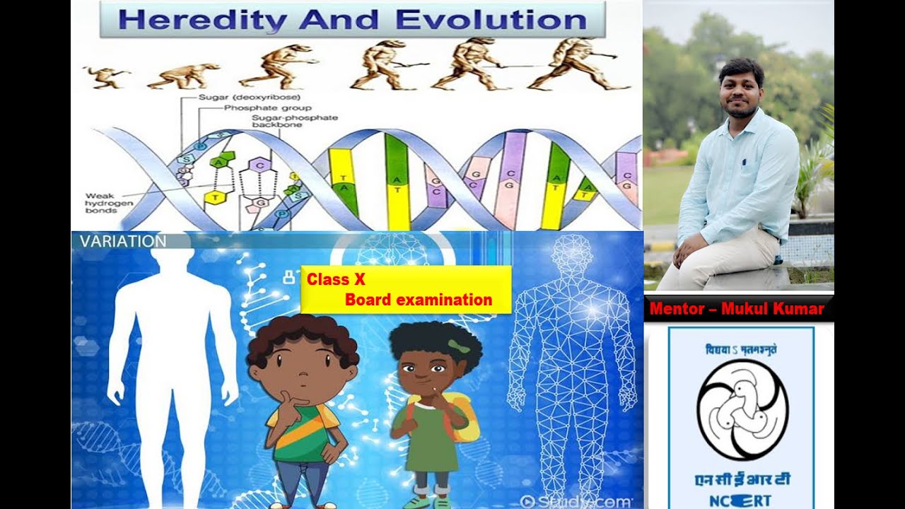 CONCEPT OF HEREDITY AND EVOLUTION CLASS 10 BIOLOGY CBSE BOARDS 2020 ...