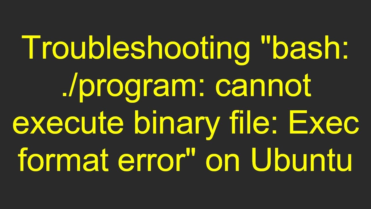 Troubleshooting "bash: ./program: cannot execute binary file: Exec ...