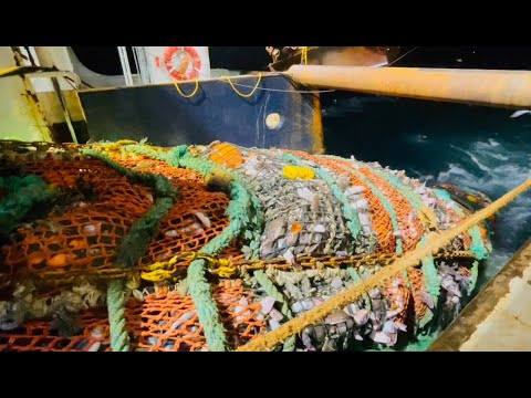 Hauling back / massive bag, Freezing Trawler, A season 2025 #big-catch ...