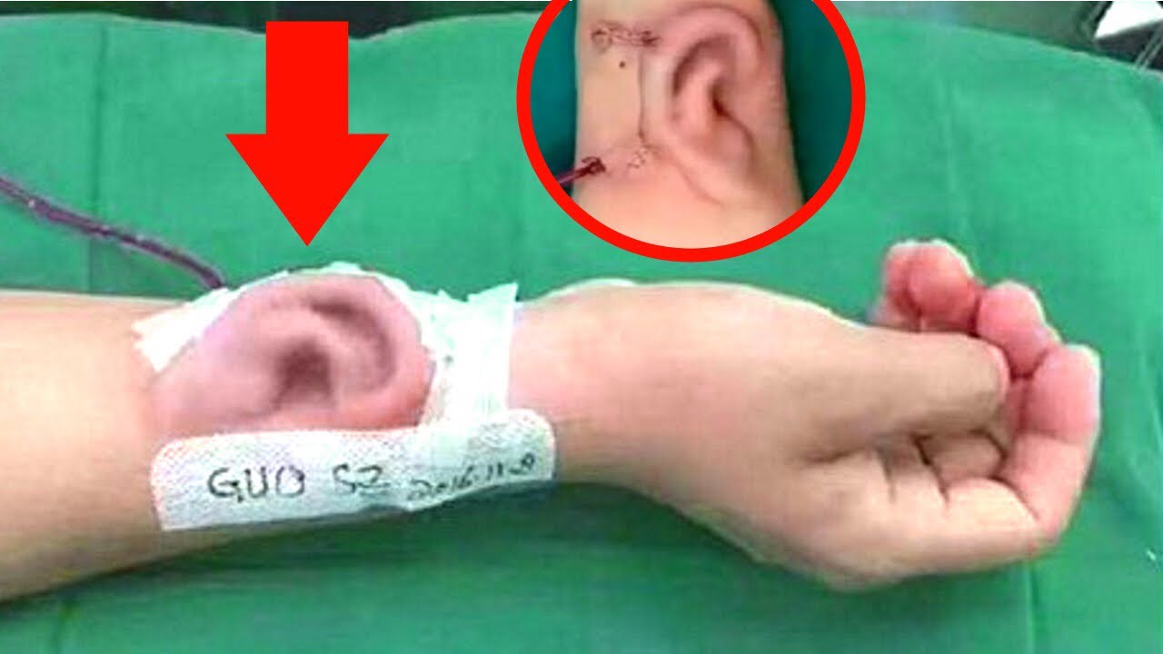 Government Experiments! - YouTube