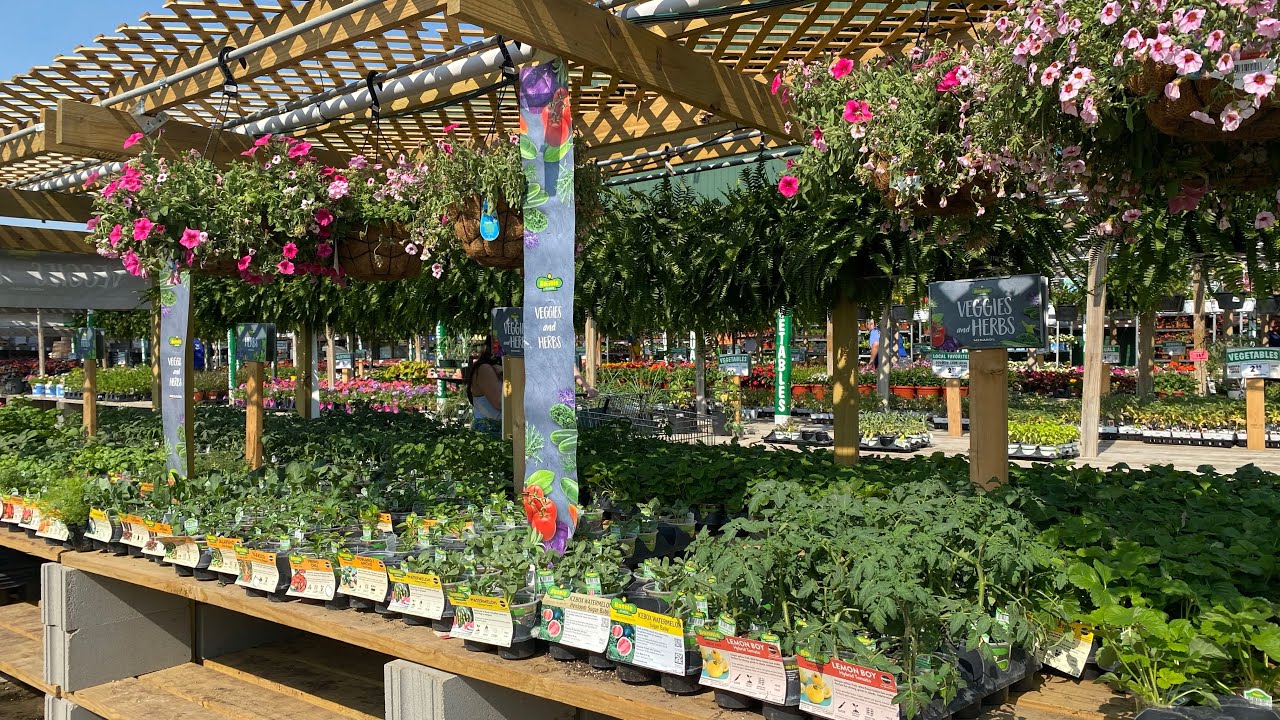 Menards ️Garden ️Beautiful Flower🌼Summer 2023 🌻#shorts🌸uslife - YouTube