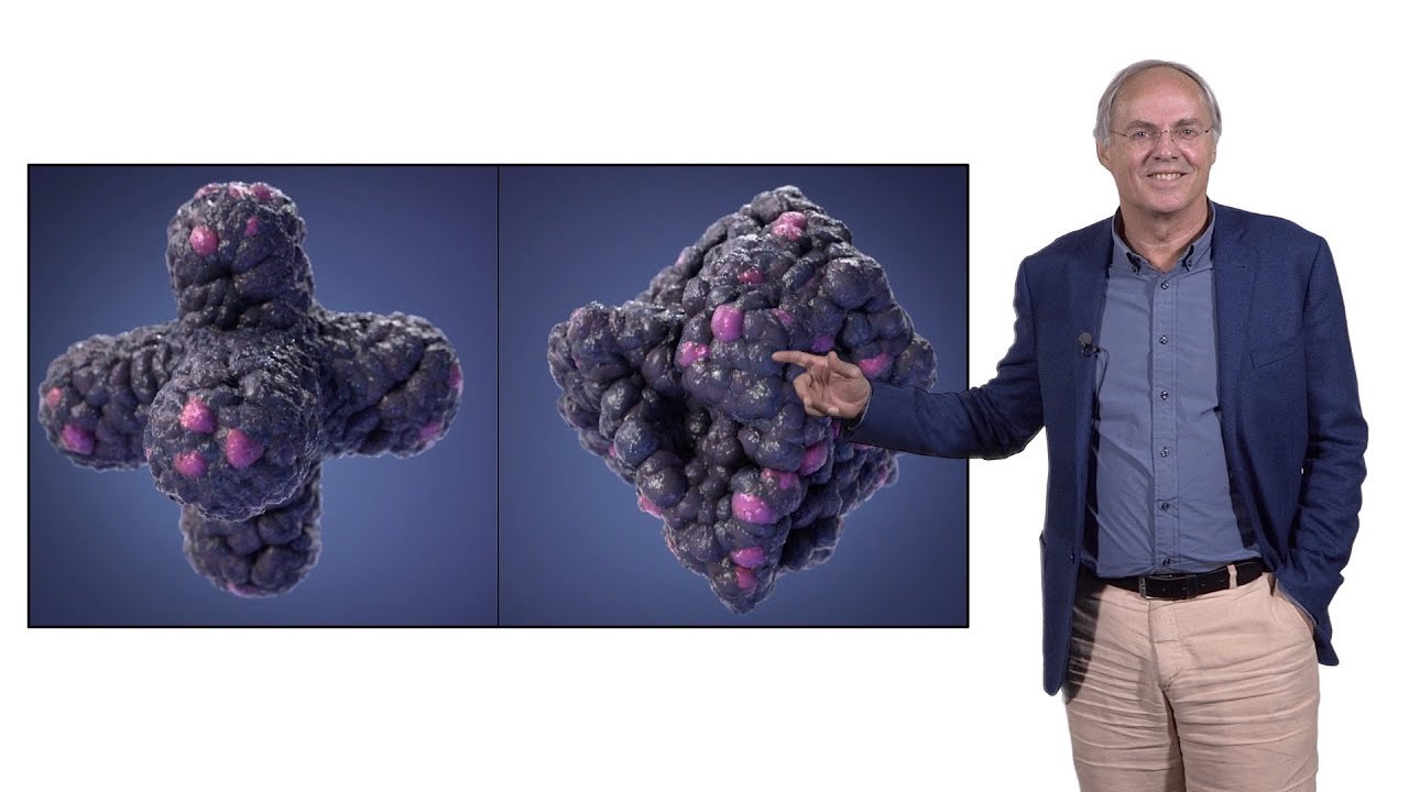 Hans Clevers (Hubrecht I., UU) 3: Organoid Technology for Disease ...