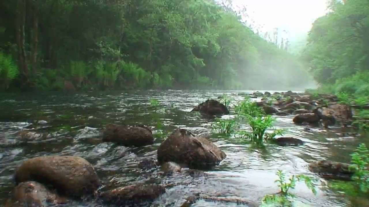 Sound Of Water - Relaxation Video - Scenes 5 - YouTube