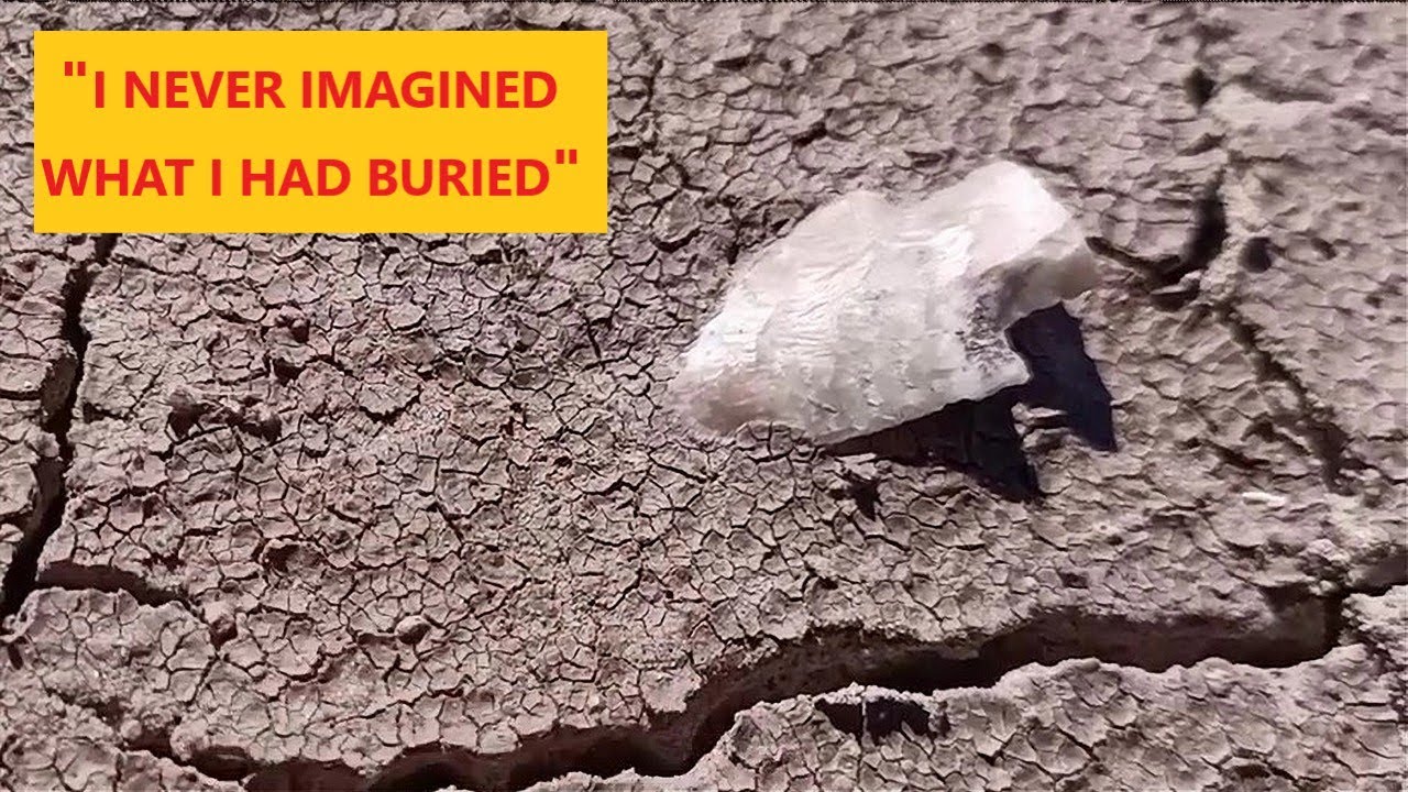 288 ARROWHEAD HUNTING WE KEEP FINDING SURPRISES IN THIS NEW AREA - YouTube