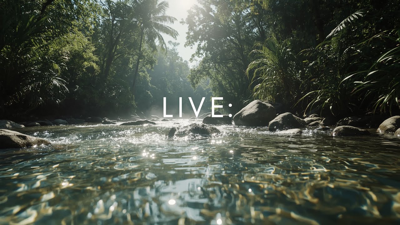 Live: Tropical Rainforest River Ambience – Flowing Water, Birds & Breeze for Deep Relaxation ...