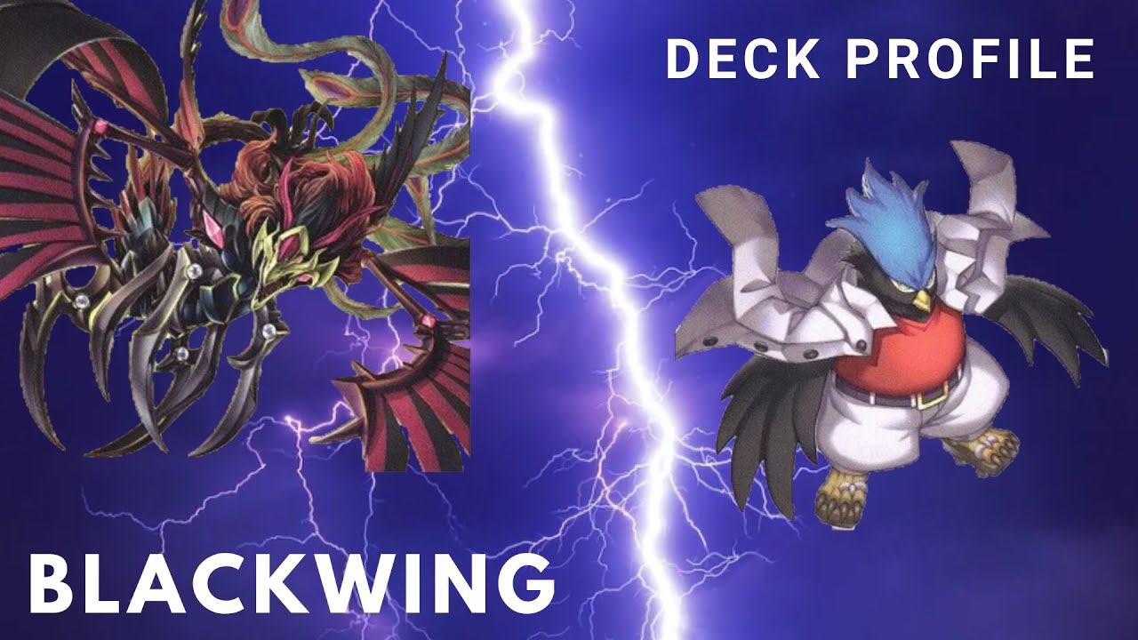 Blackwing Deck Profile #2 + Combo + Deckkosten | YuGiOh! | November ...