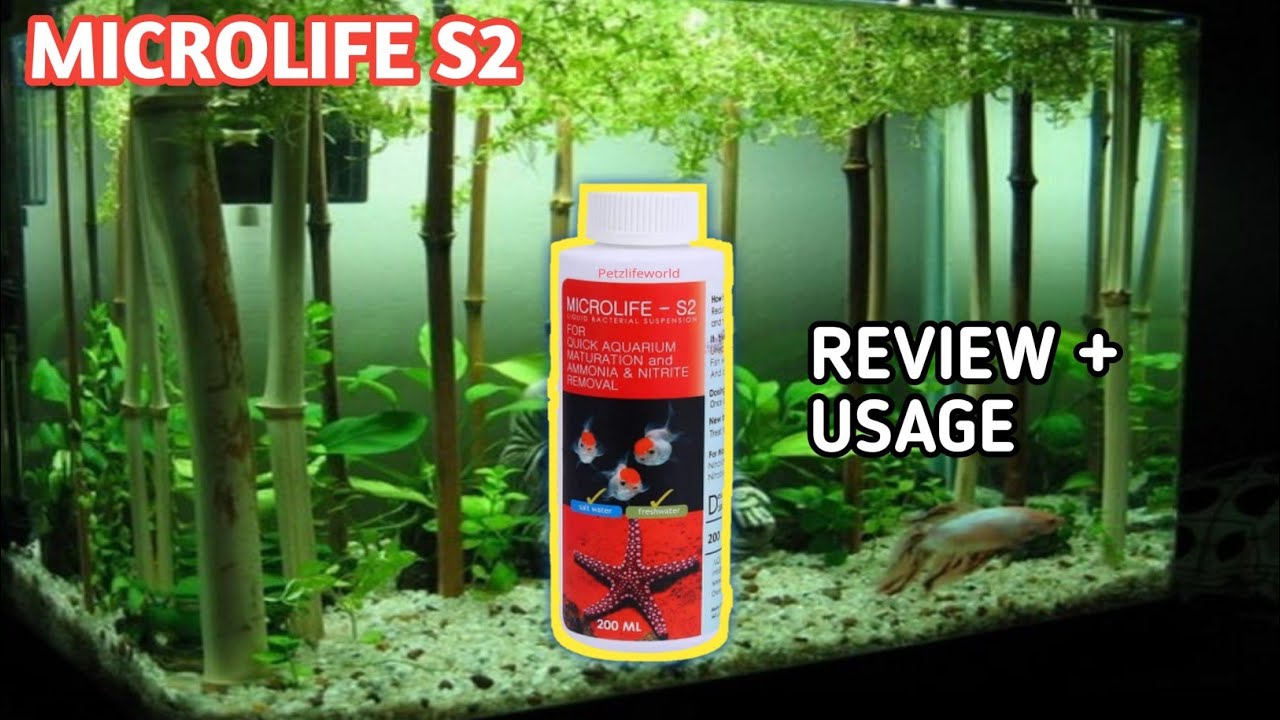 MICROLIFE -S2 || Use || Full Detailed Review - YouTube