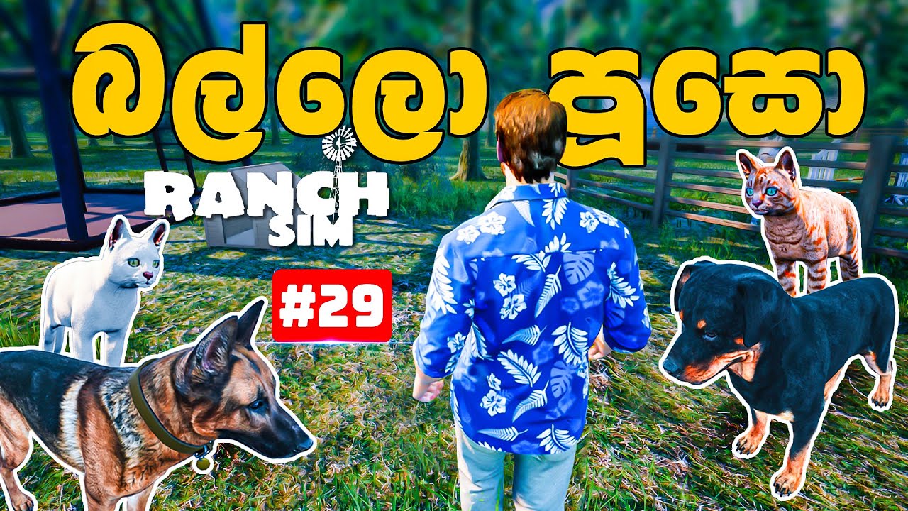 Ranch Simulator: Fun with Dogs and Cats - PC Gameplay - YouTube